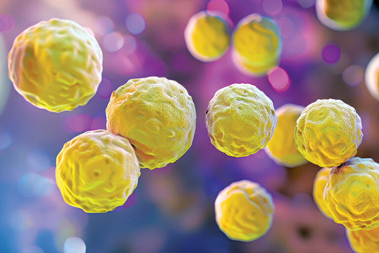 Bacterial Infection Spreads in Japan - RobinAge