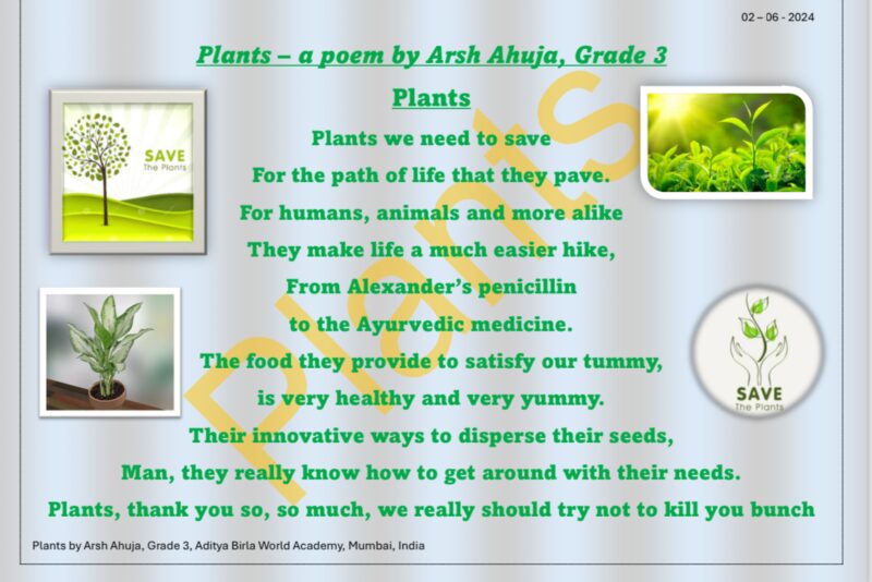 Lets Save Plants! - RobinAge