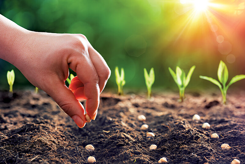 Save Environment - RobinAge