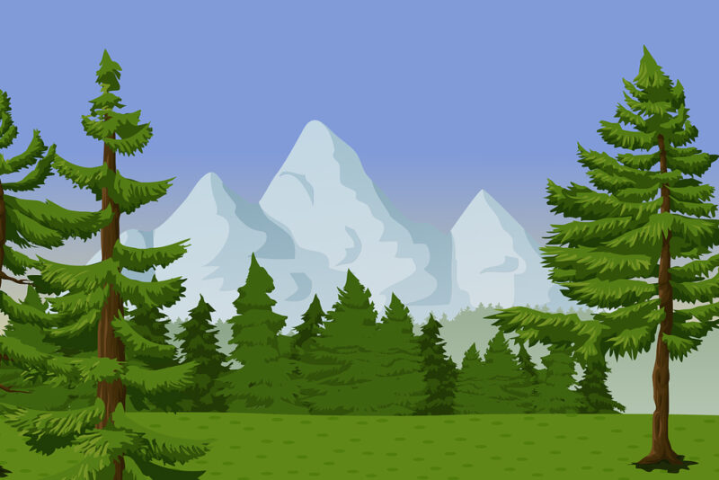 Trees – The Care Takers of Our Planet - RobinAge