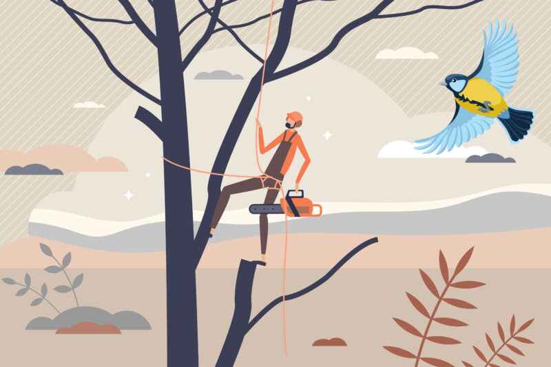 Leah Saves a Forest - RobinAge