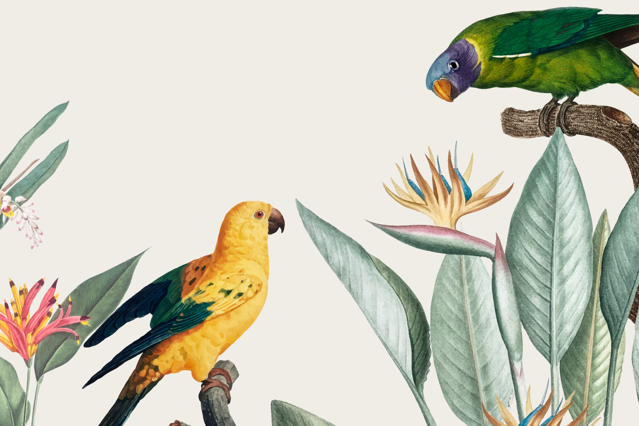 The Parrot's Peaceful Plan - RobinAge