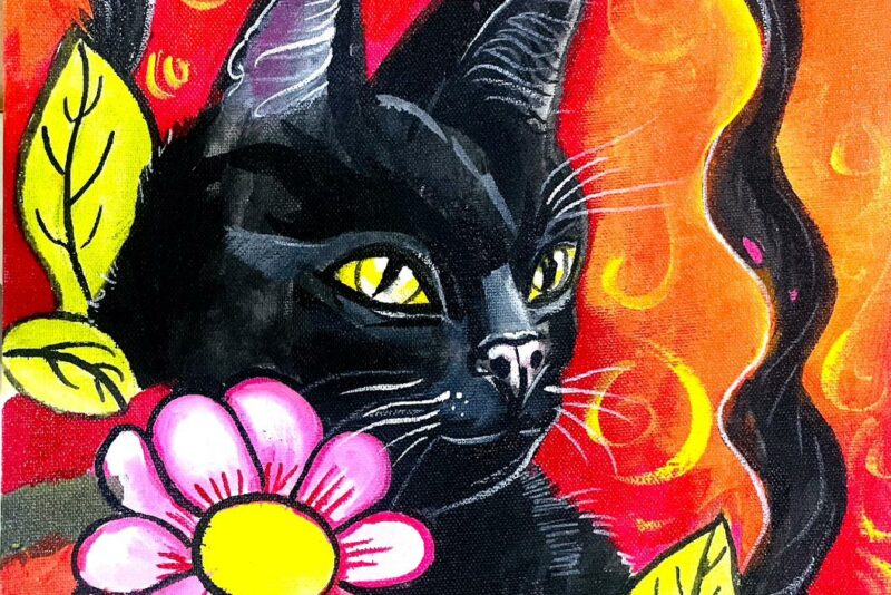 Beautiful Cat - RobinAge