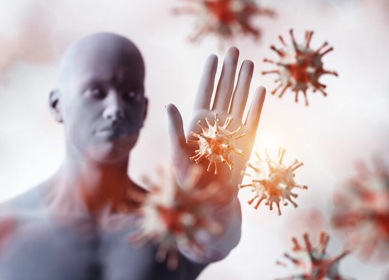 How Does the Immune System Function? - RobinAge