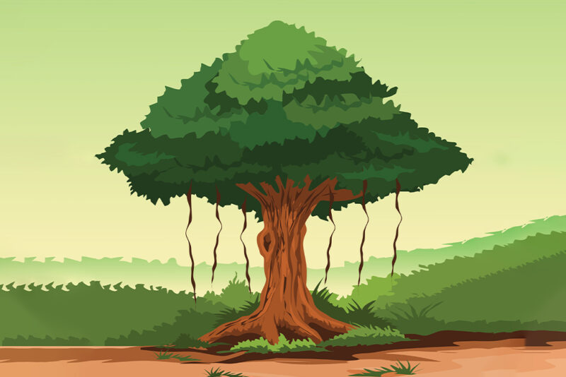 The Banyan Tree - RobinAge