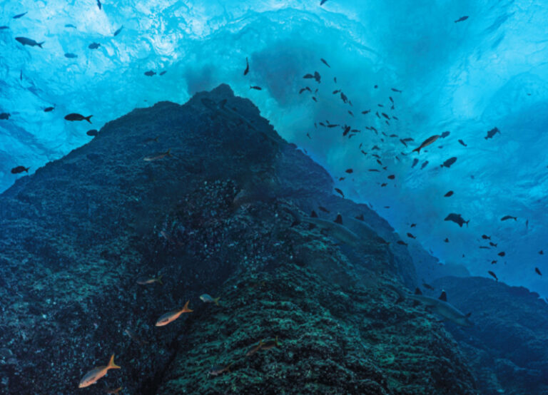 Enormous Underwater Mountain Found - RobinAge
