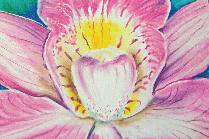 Magnified Flower in the Style of Georgia O’Keeffe - RobinAge