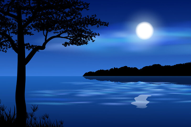 Moonlight - RobinAge