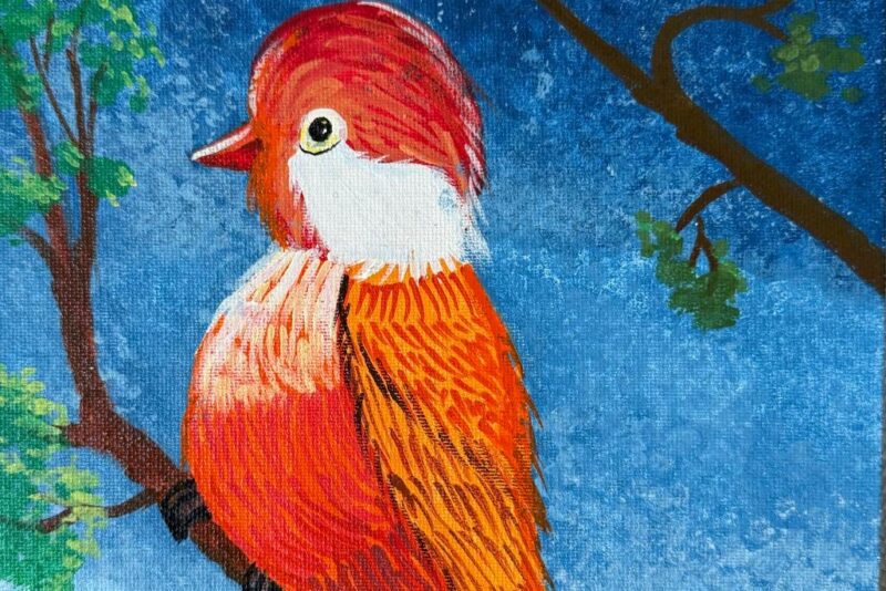 Gregarious Bird - RobinAge