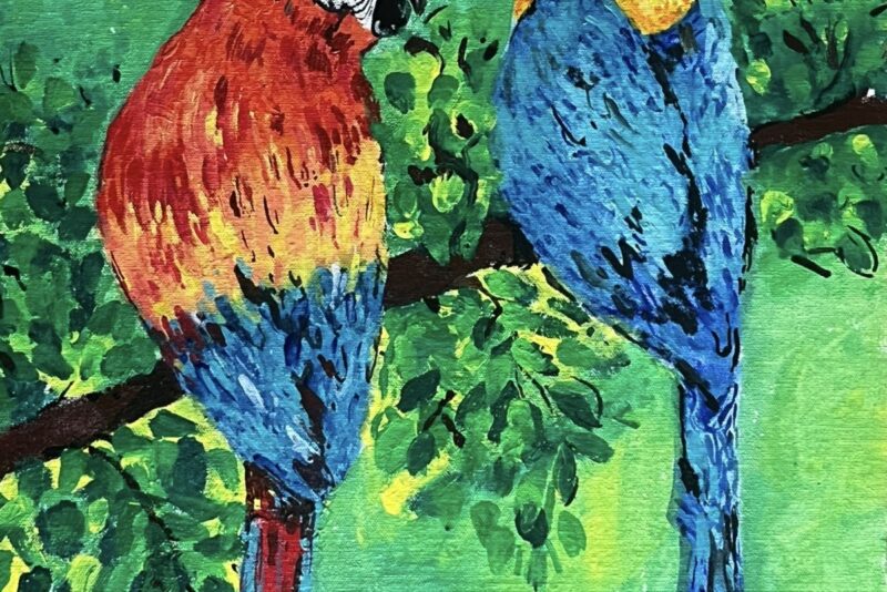 Companions of the Jungle - RobinAge