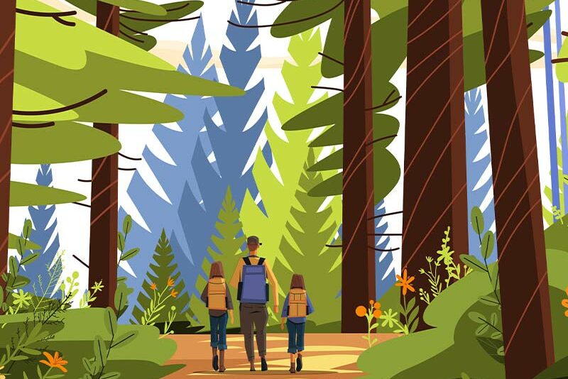 A Day in the Forest - RobinAge