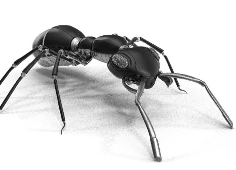 Tiny Robots That Replicate Ants - RobinAge