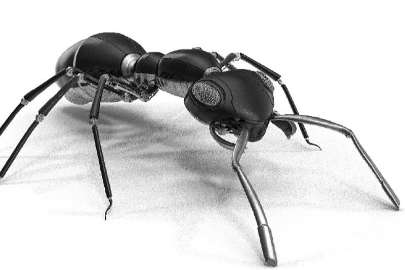 Tiny Robots That Replicate Ants - RobinAge