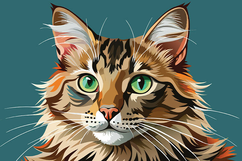 Whiskers the Wonder Cat - RobinAge