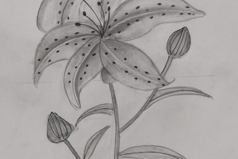 Beautiful Flower - RobinAge