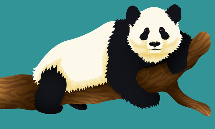 My Panda - RobinAge