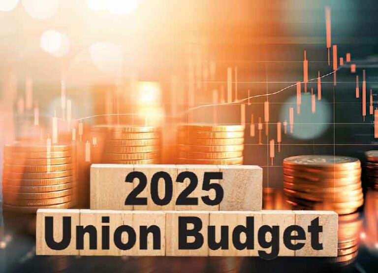 India’s New Budget - RobinAge