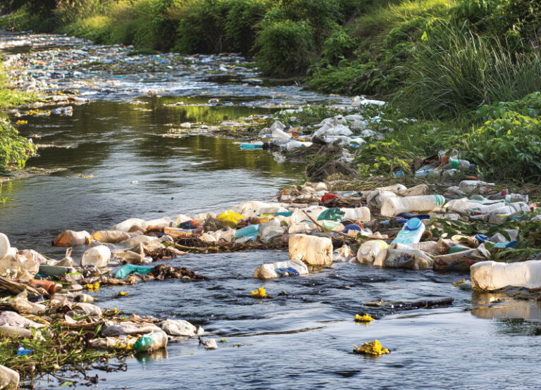 Reducing Water Pollution - RobinAge