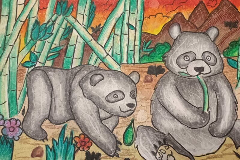 Panda's Legacy - RobinAge