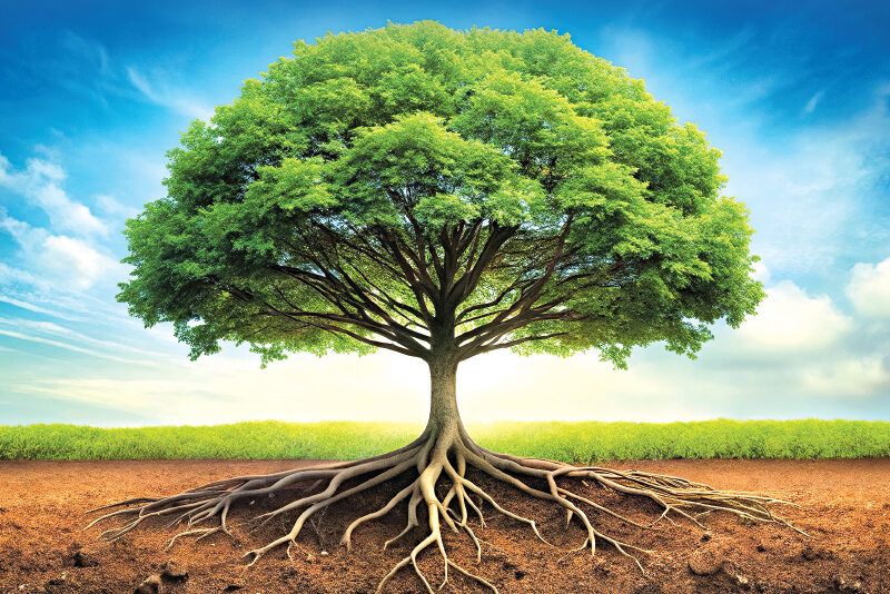 Letter from the Editor: April 01, 2025 - RobinAge