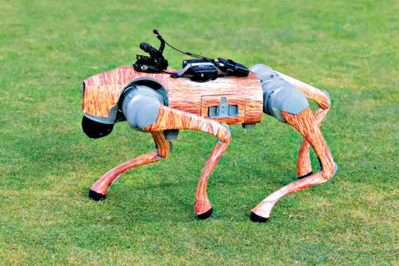 Robot Dog Introduced During IPL Broadcast - RobinAge