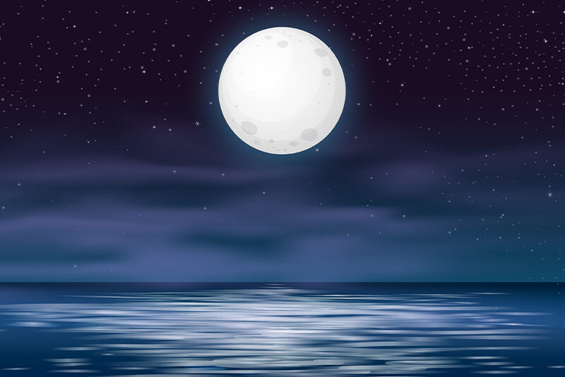 The Starlight Spell - RobinAge