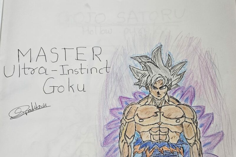 Goku Master Ultra Instinct - RobinAge