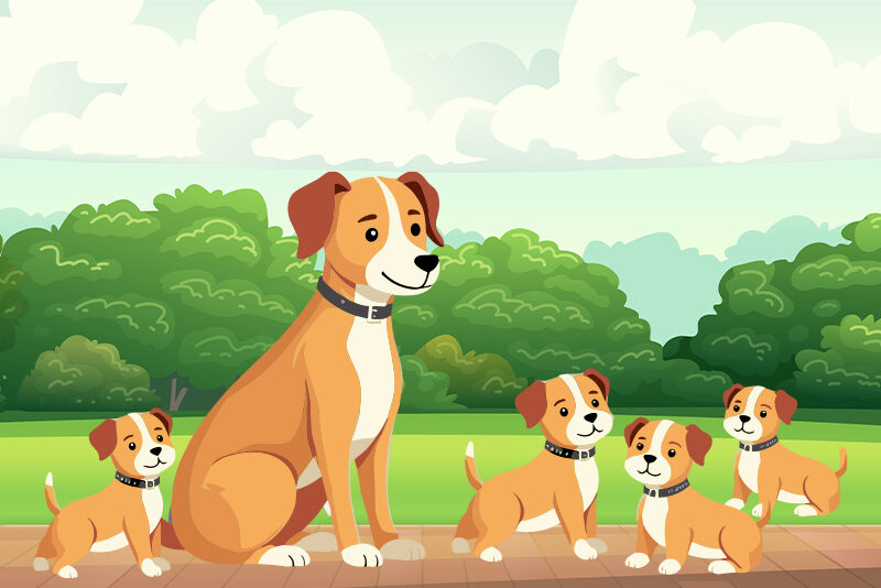 An Act of Kindness - RobinAge