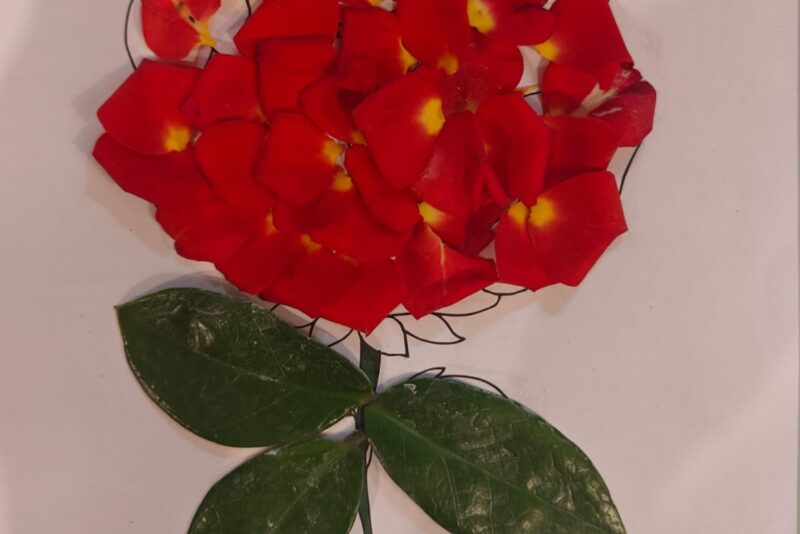 Rose: The Flower - RobinAge