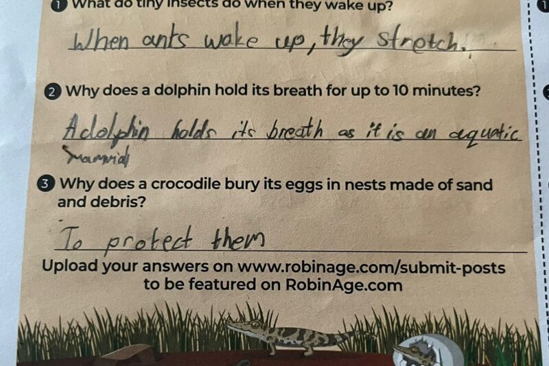 Riddle Me This - RobinAge