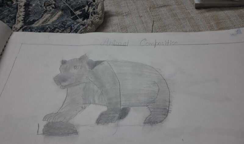 Animal Composition - RobinAge