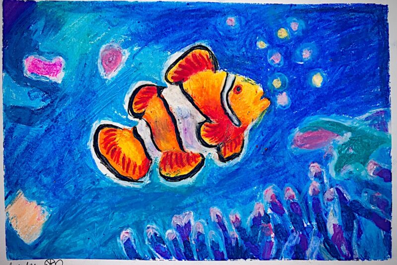 Nemo Fish - RobinAge