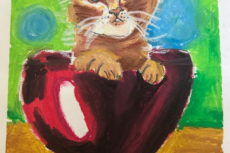 A Cute Cat - RobinAge